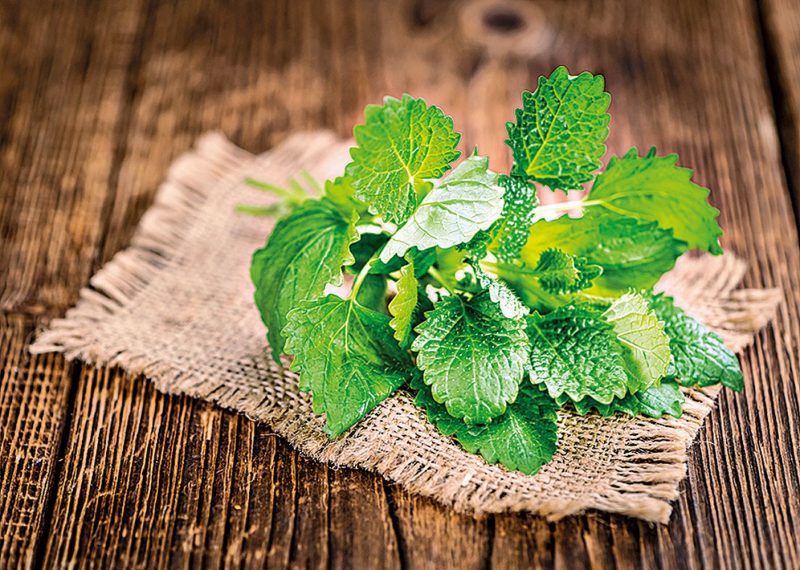 Tipy, jak se zbavit oparů – Nejsem sama!